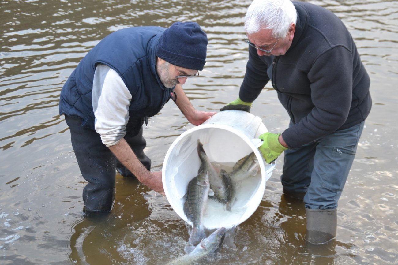 PÊCHE : Plus de 9.000 € de poissons déversés par La Gaule du Breuil ... PÊCHE : Plus de 9.000 € de poissons déversés par La Gaule du Breuil ...