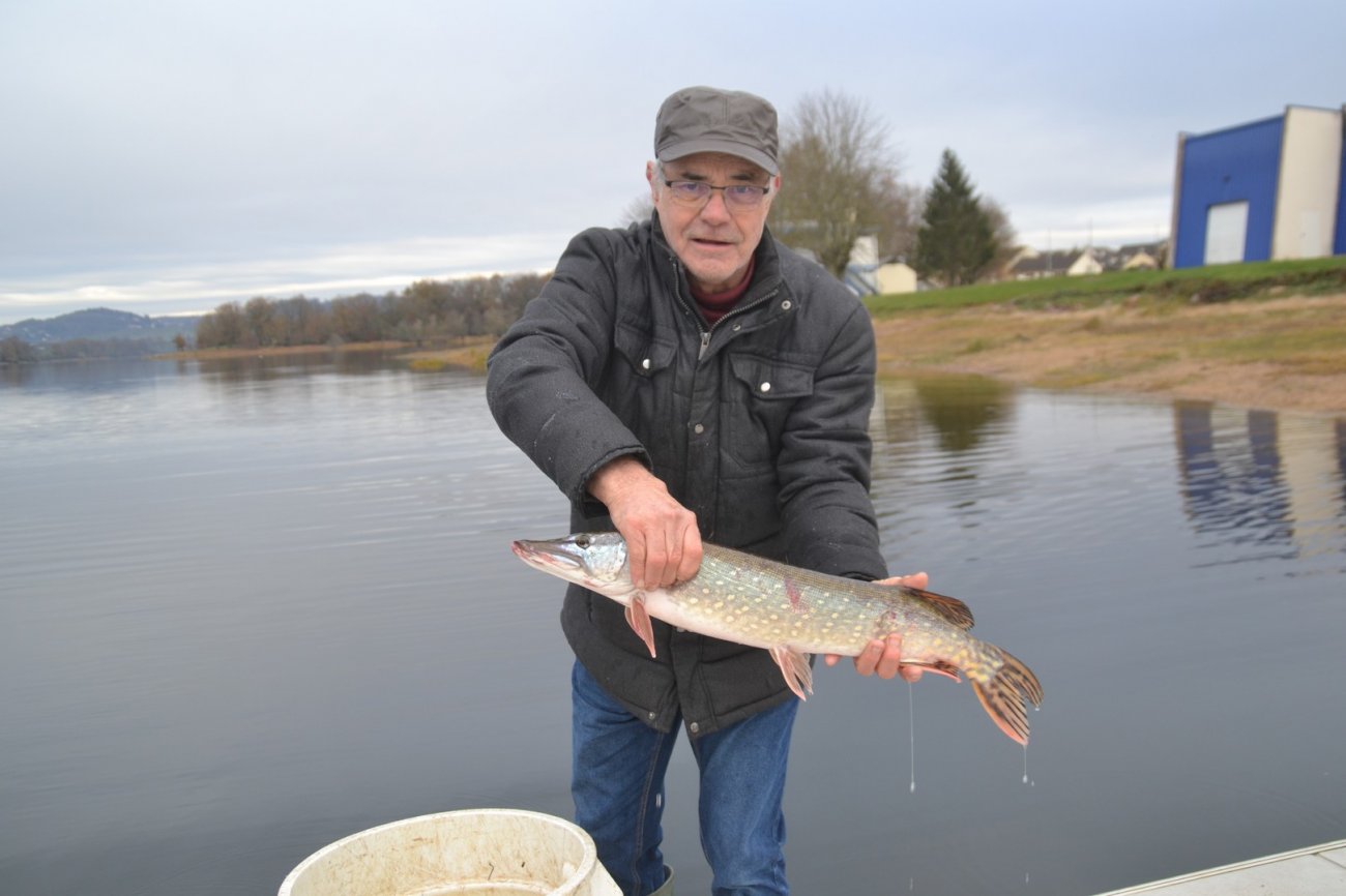 PÊCHE : 6.000 € de sandres, brochets et gardons déversés par la Perche de Torcy-Neuf - Creusot Infos