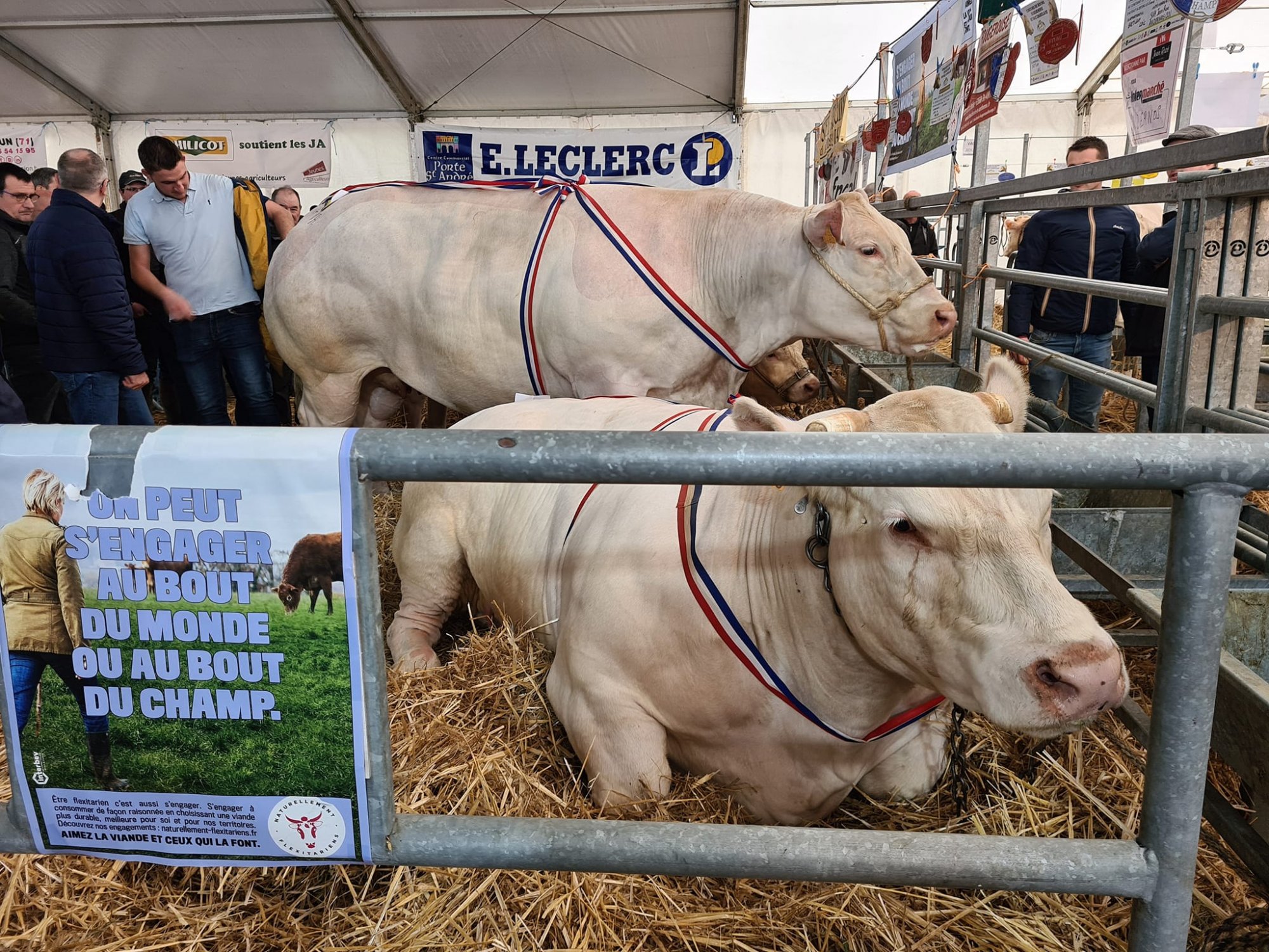 AUTUN : Le palmarès complet du 49ème concours de bovins de boucherie de ...