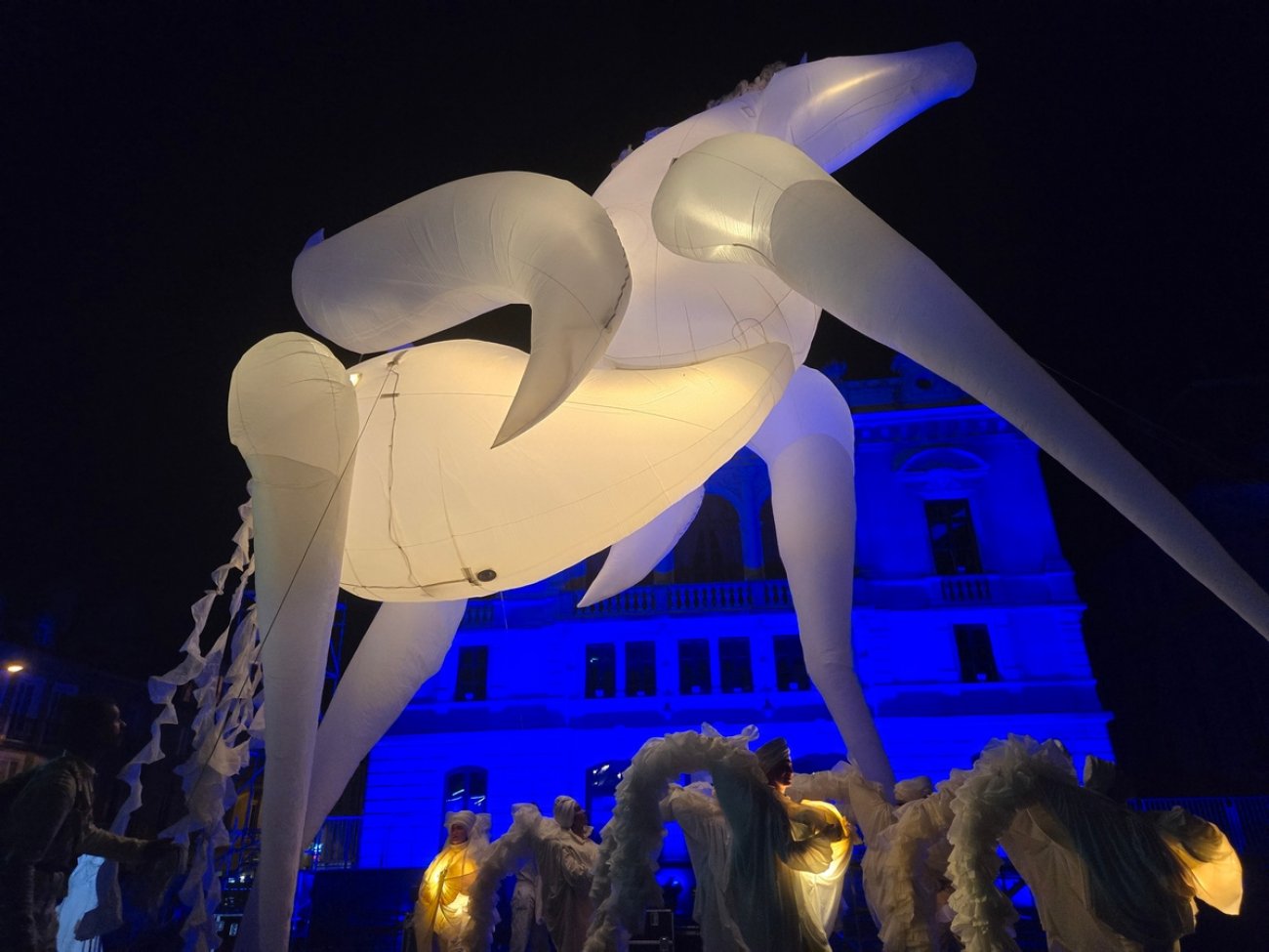 AUTUN : Spectacle poétique et féérique sur la place du Champ de Mars envahie par des milliers de ...