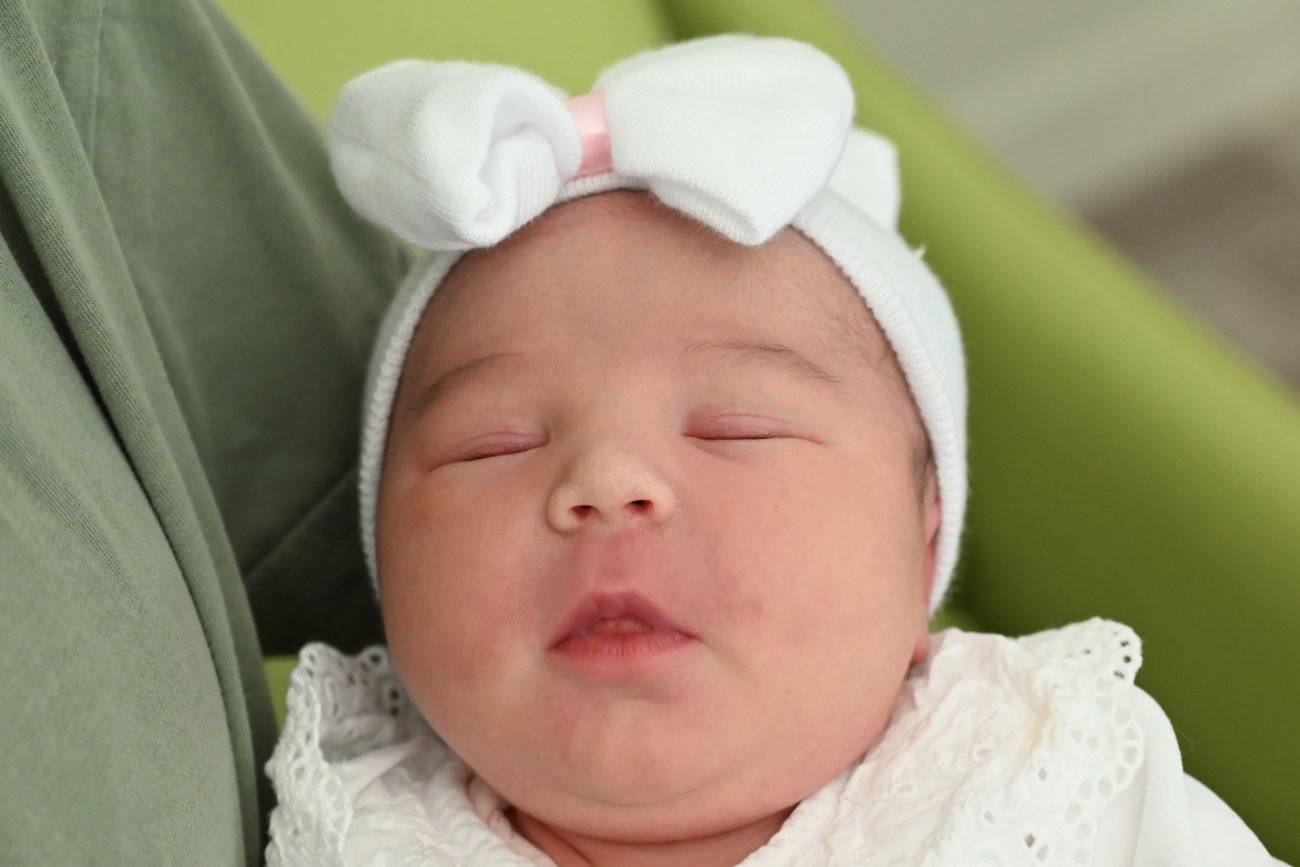 Carnet Rose : Azad Schied - Creusot Infos