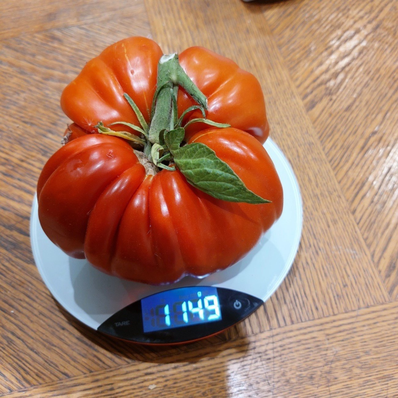 LE CREUSOT : Plus d'un kilo la tomate pour Annie Canney - Creusot Infos