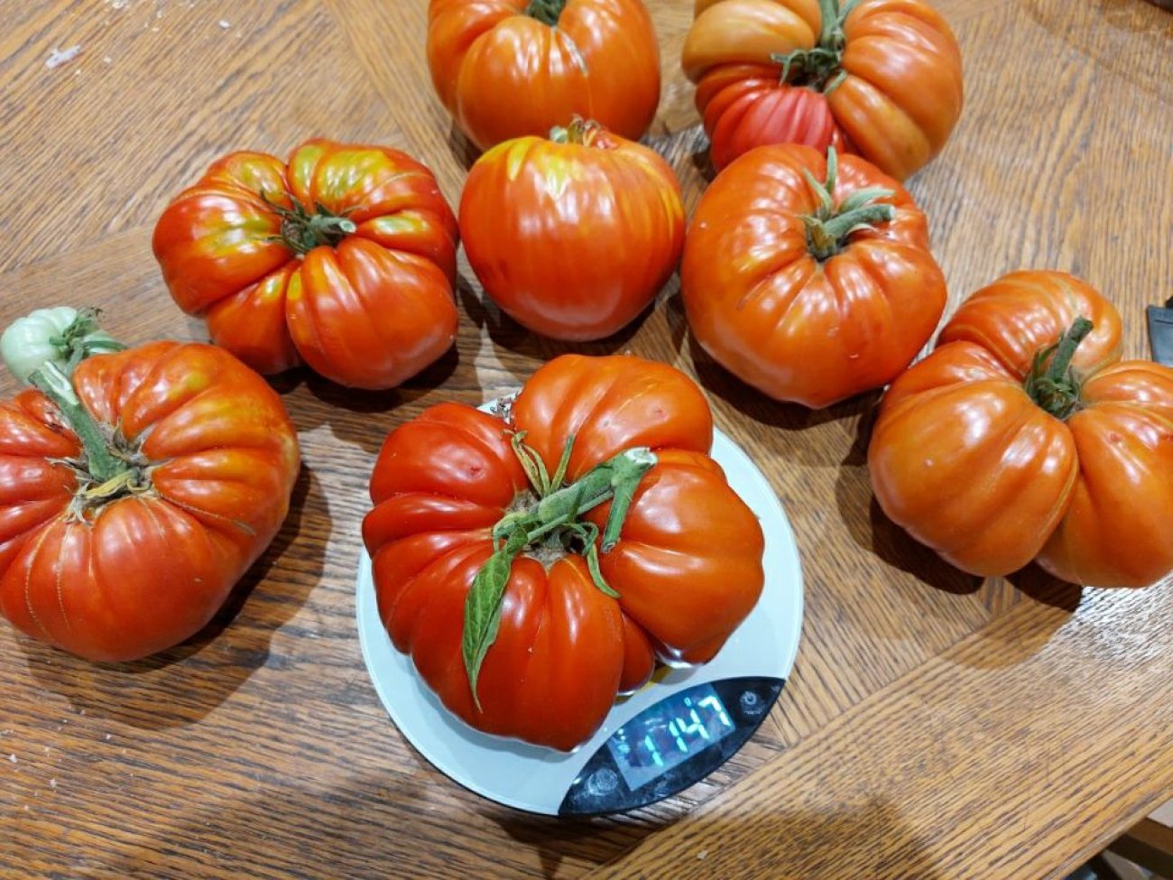 LE CREUSOT : Plus d'un kilo la tomate pour Annie Canney - Creusot Infos