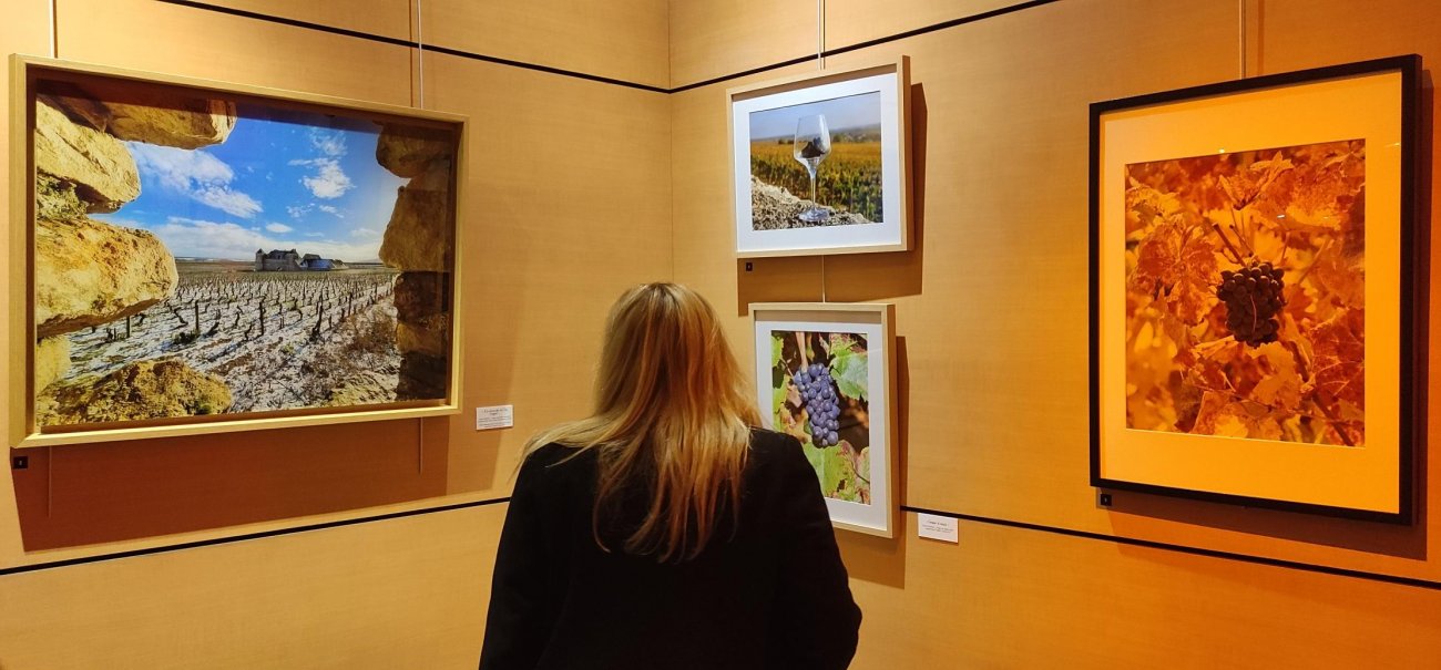 DIJON : De la Ville à la Vigne, la signature de l’exposition de Denis ...