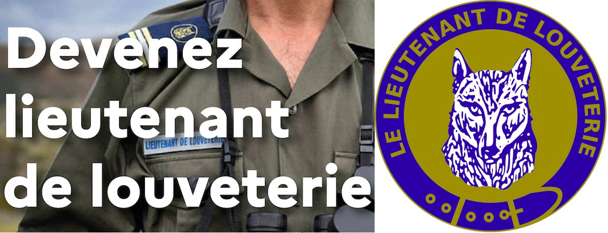SAONE ET LOIRE : Qui veut tuer le loup ? La Préfecture recrute des lieutenants de louveterie ...
