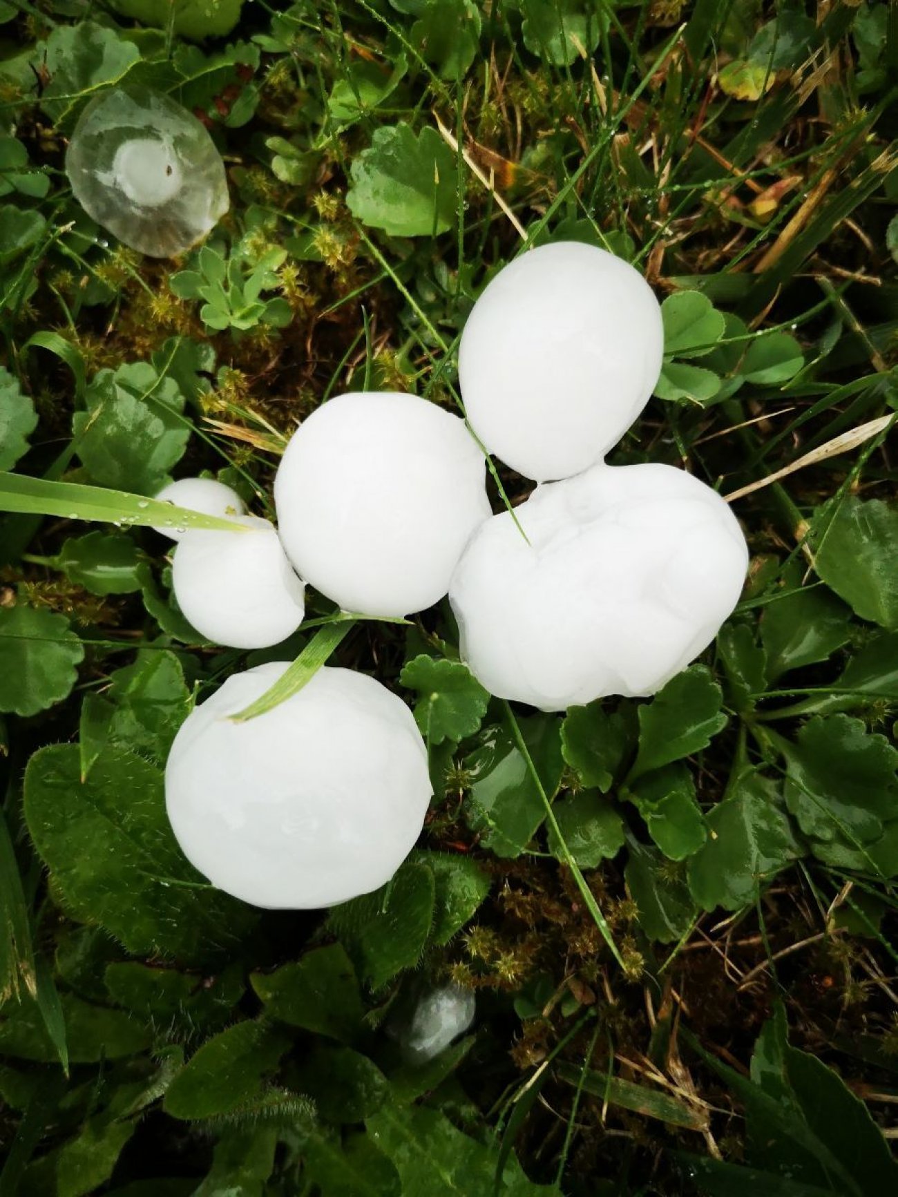 AUTUNOIS-MORVAN : Quand l'orage approche... - Autun Infos