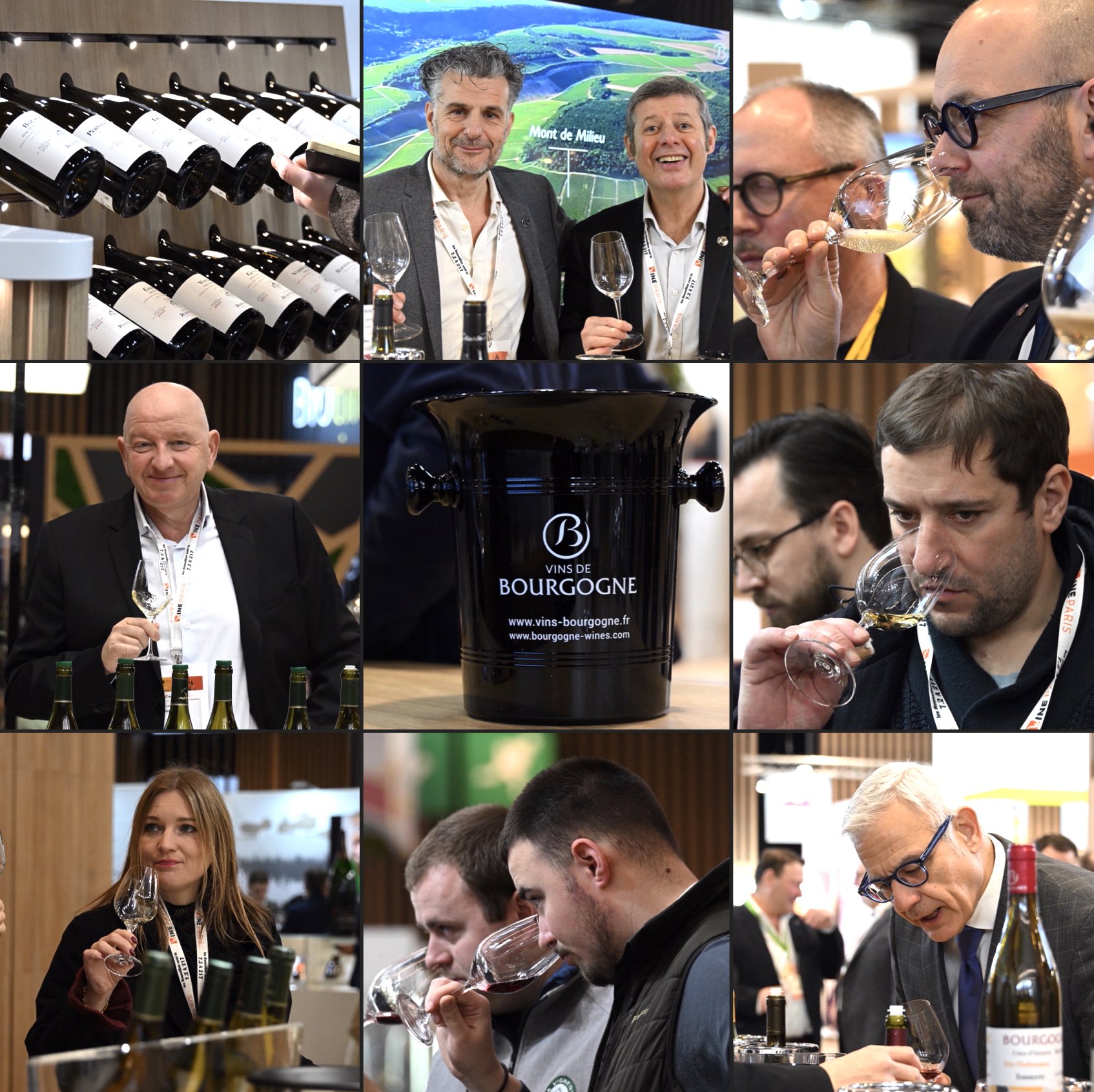 Wine Paris 2025 : Les vins de Bourgogne en force pour séduire à l ...