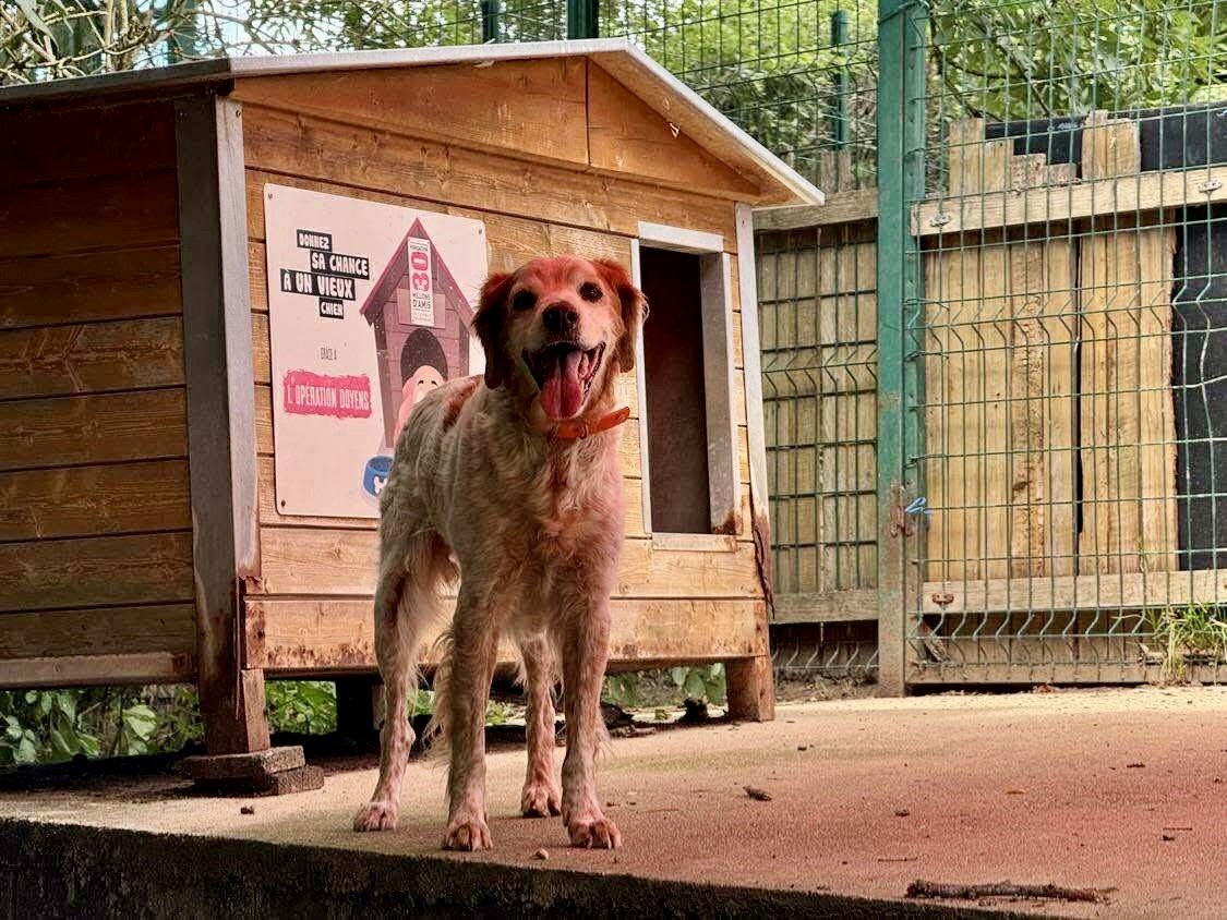 Le mot de la présidente Sandra Le Manchet