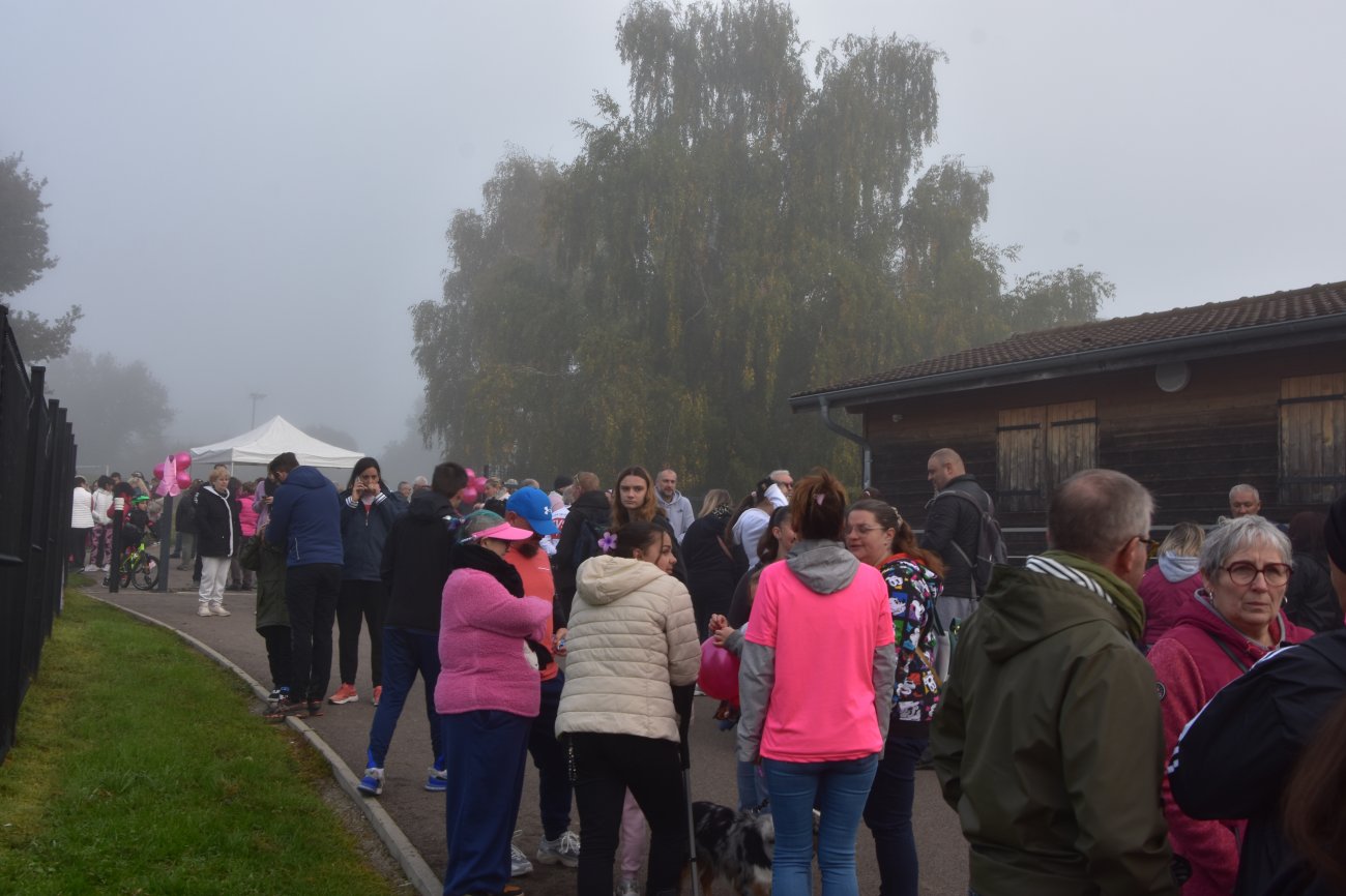 ECUISSES : La marche des roses a encore rencontré un grand succès ...