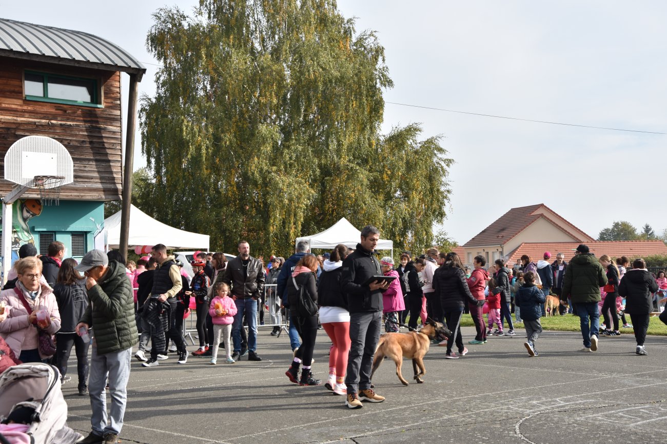 ECUISSES : La marche des roses a encore rencontré un grand succès ...